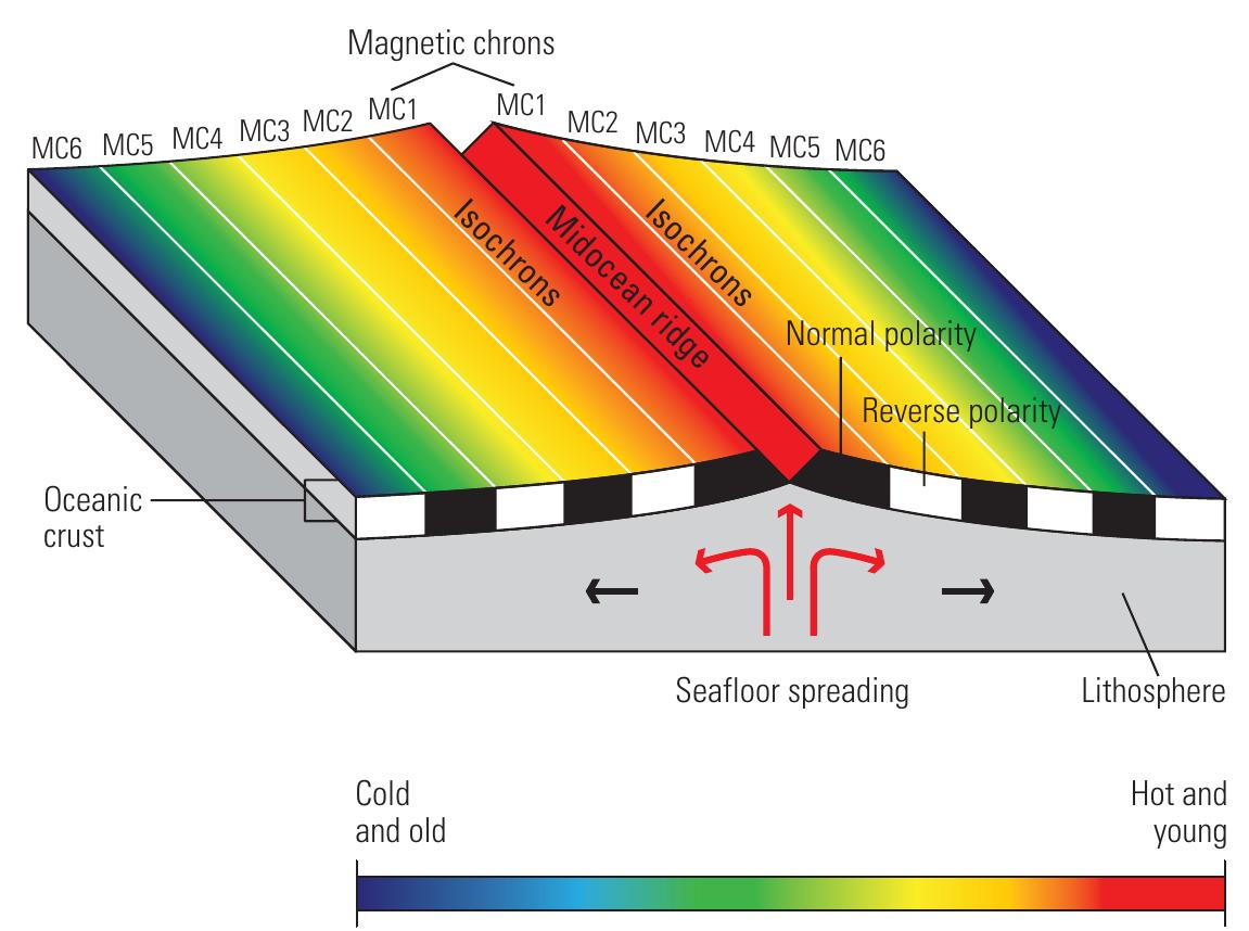 (PDF) Basin to Basin: Plate Tectonics in Exploration
