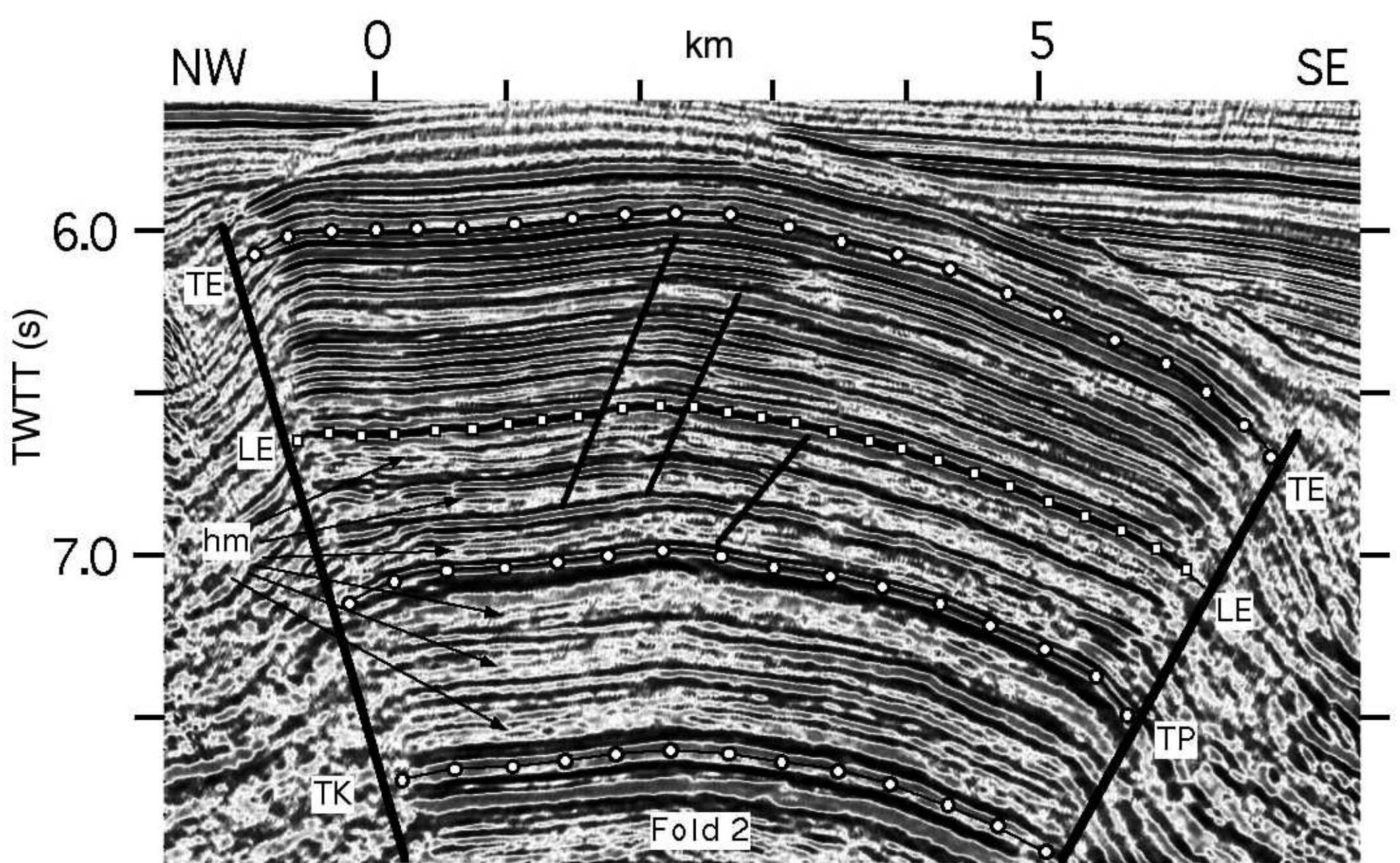 —seismic profile showing paleocene and eocene strata in fold