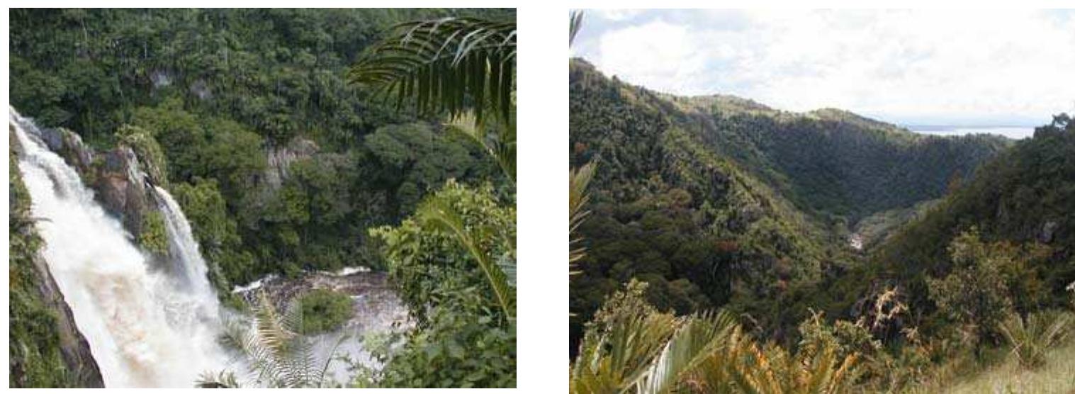Photo 7: mpanga falls and river draining into lake george
