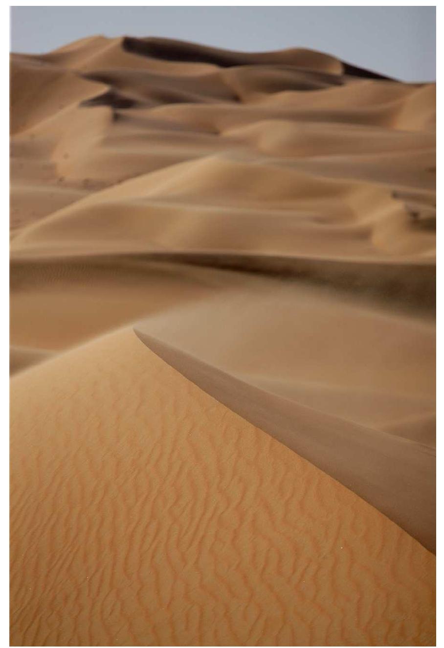 (PDF) Patterns in nature