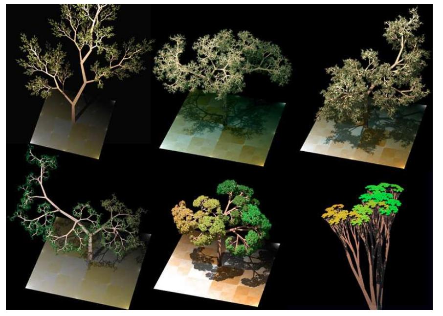 (PDF) Patterns in nature