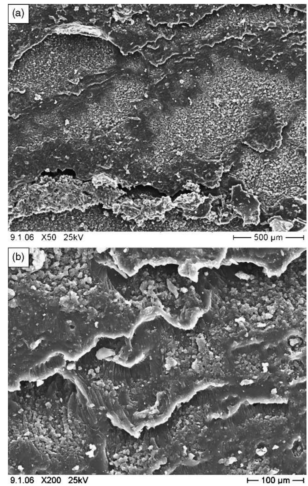 Sem pictures taken from worn surface of epdm-0 after the rop