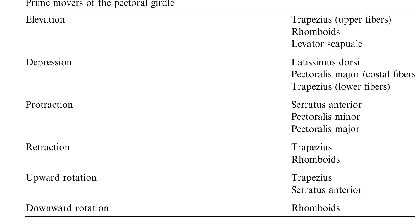 Table 1 - from Shoulder anatomy and biomechanics