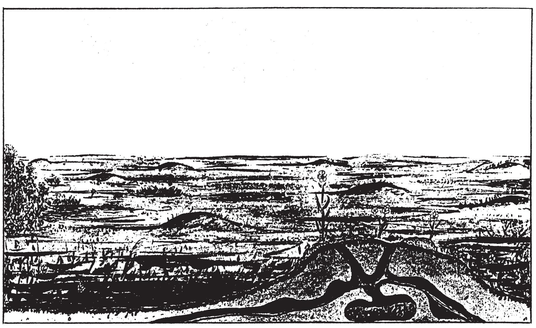 Al-1. natural prairie mounds on the webster farm, floyd