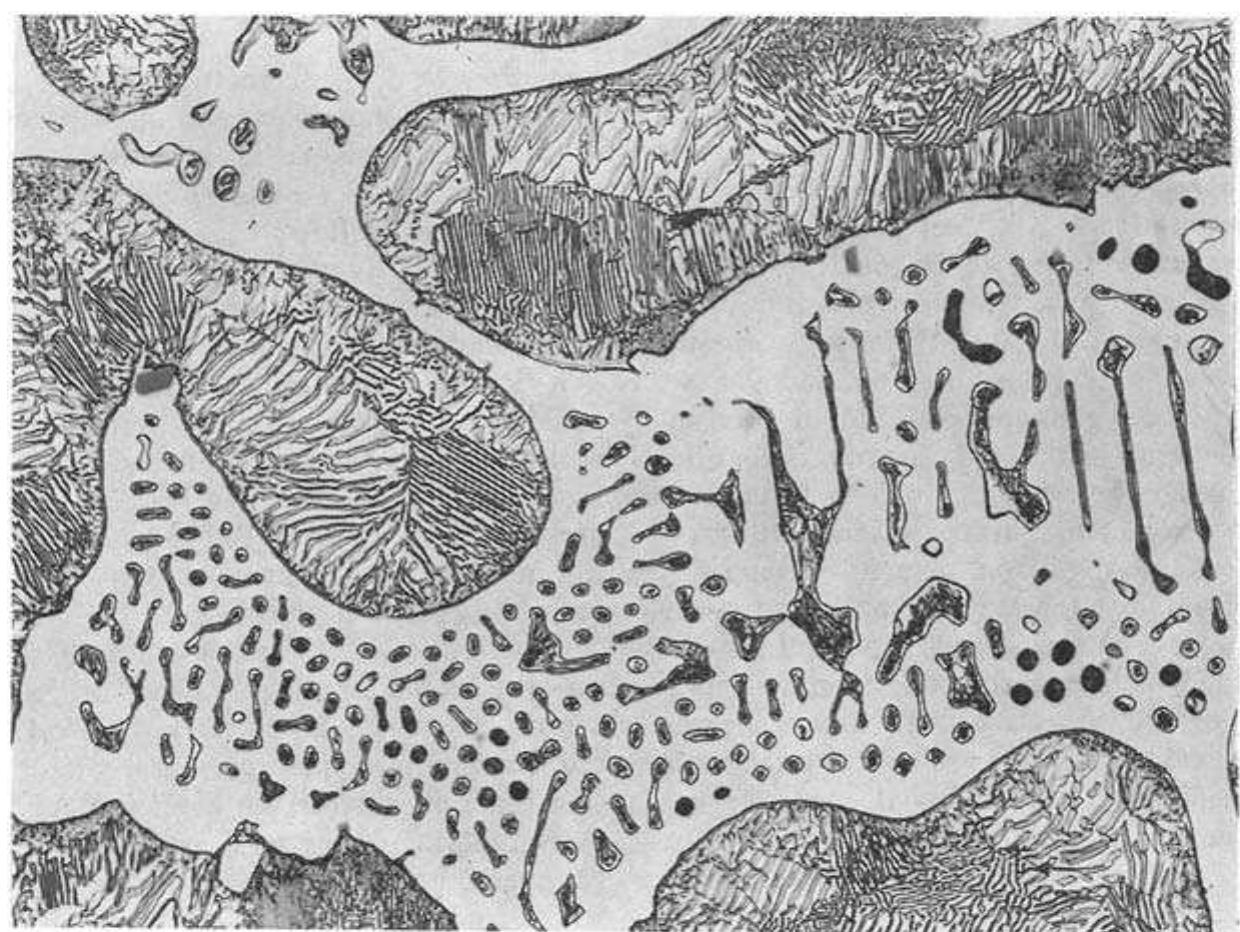Microstructure of the eutectic constituent ledeburite in a