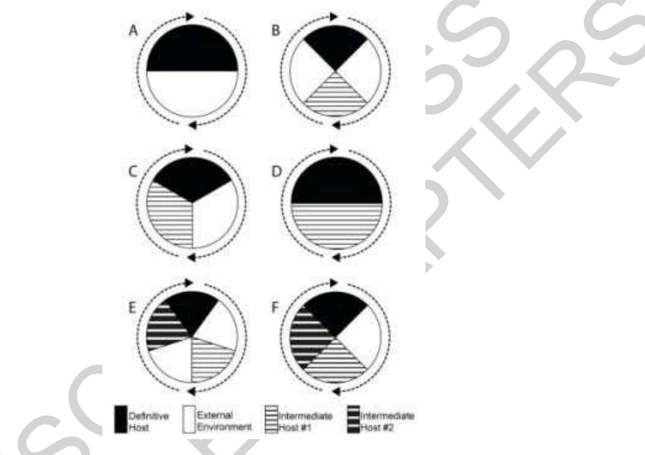 2. helminths - life cycles the life cycles of parasitic