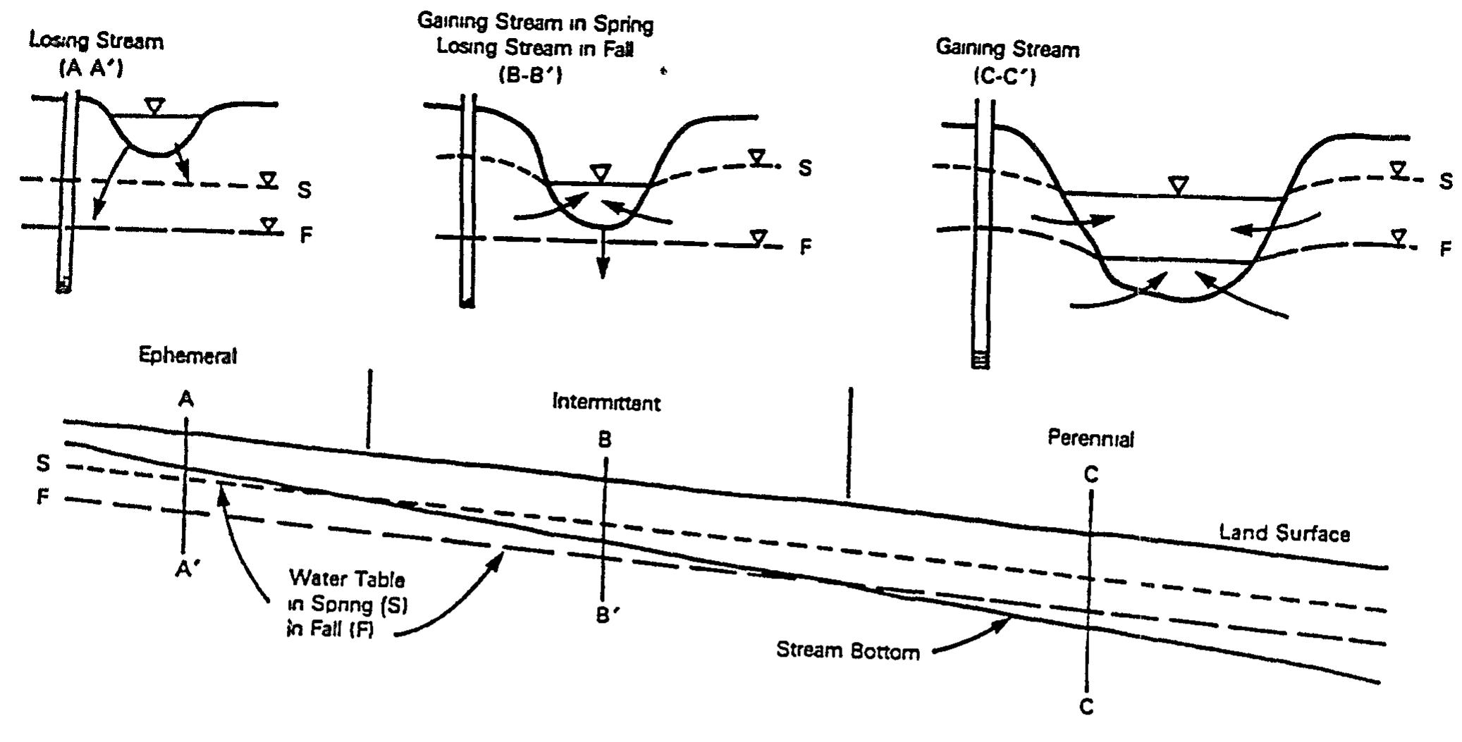 -8 relationship between water table and stream type (from us