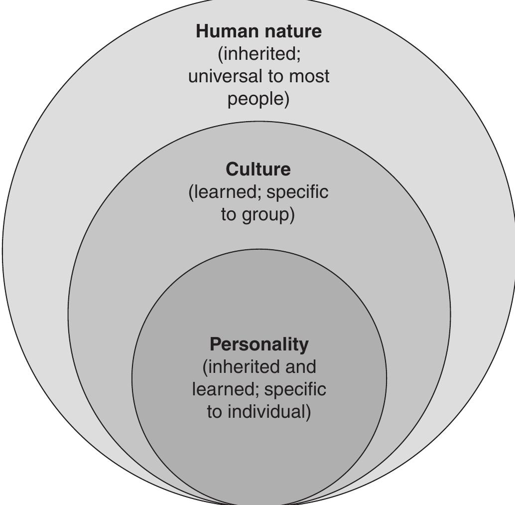 Source: adapted from hofstede, culture’s consequence and d.
