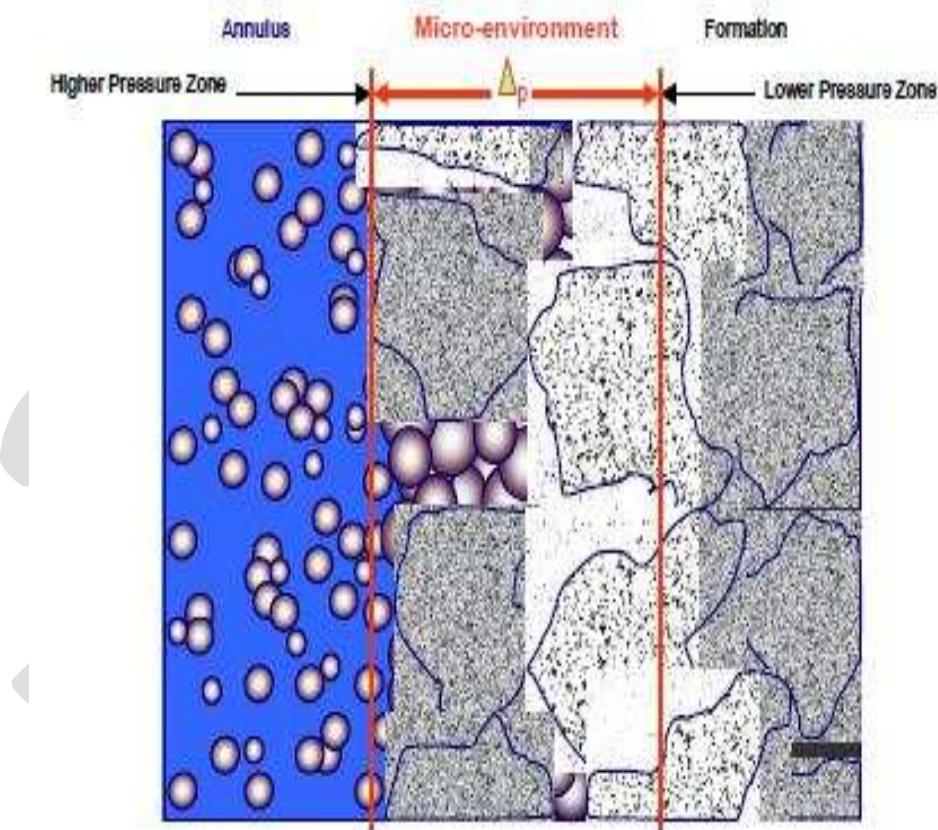 Radial flow and bridging action of the aphrons, the shear
