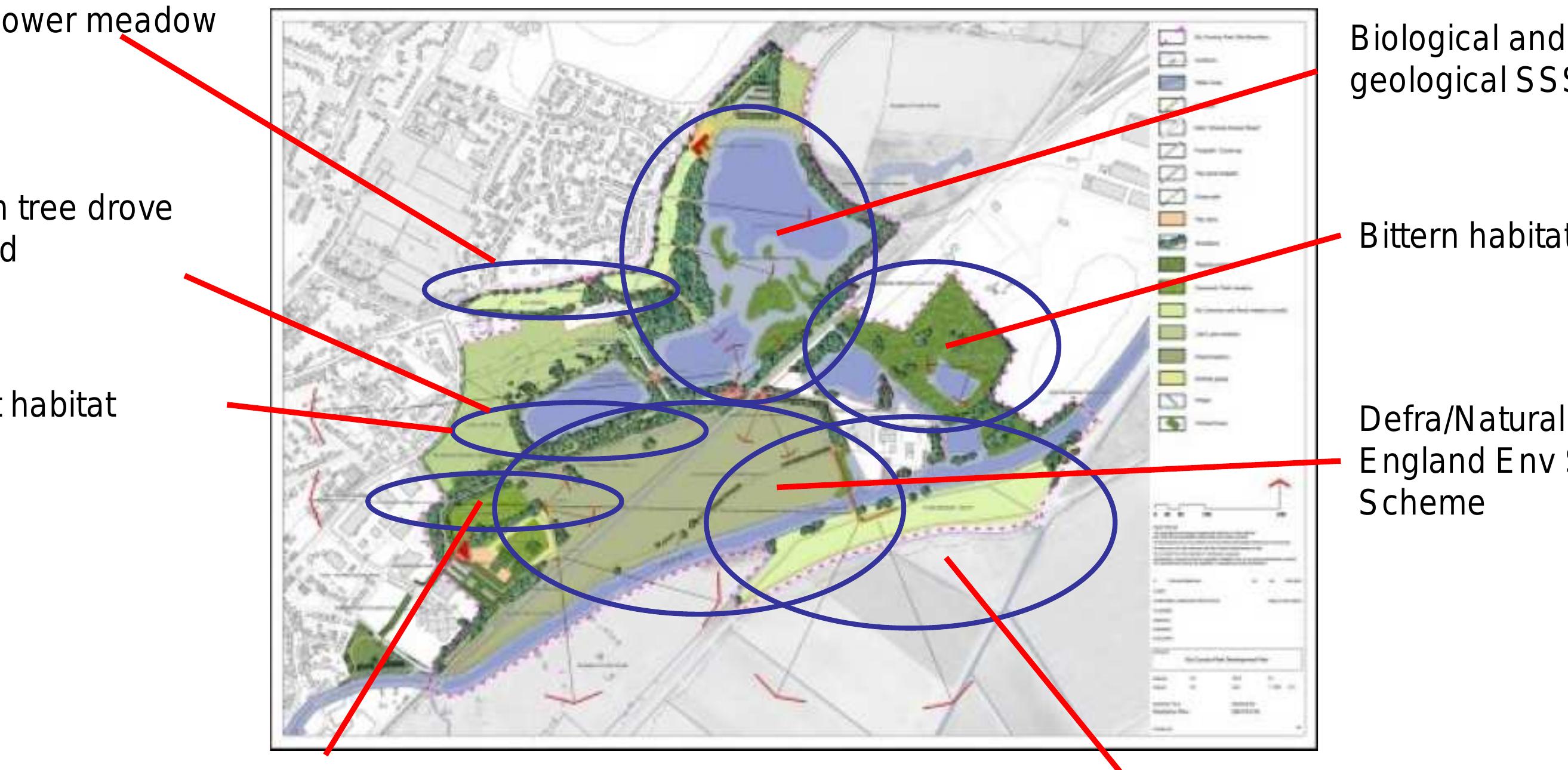 Figure 18 - Green Infrastructure: concepts, perceptions and