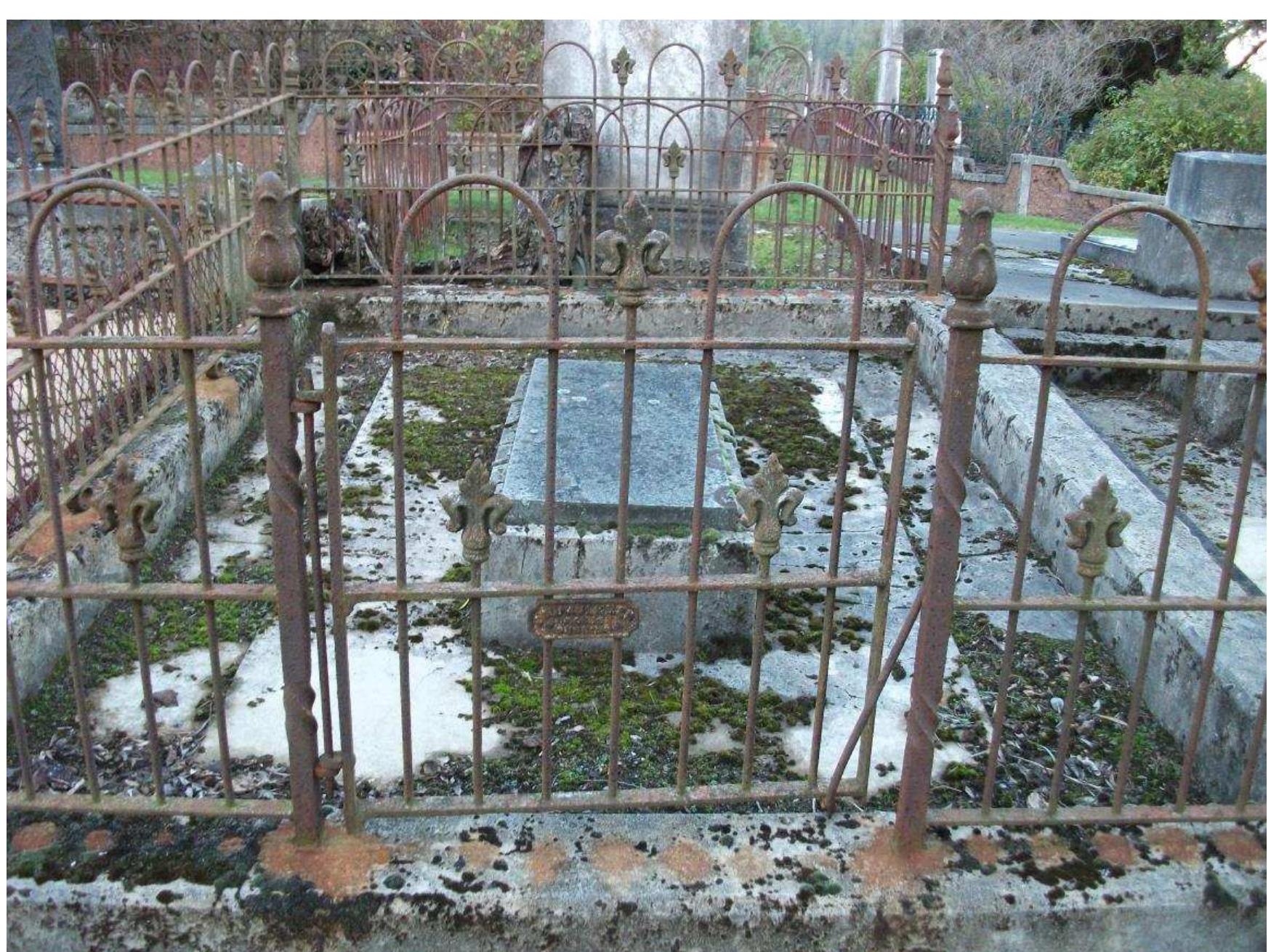 Image 13: block 117 plot 14 wakefield plot (iron and