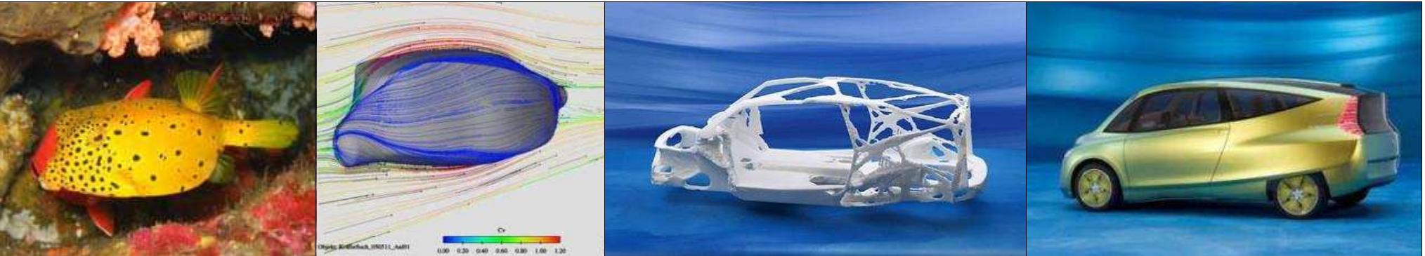 Daimlercrysler bionic car inspired by the box fish and tree