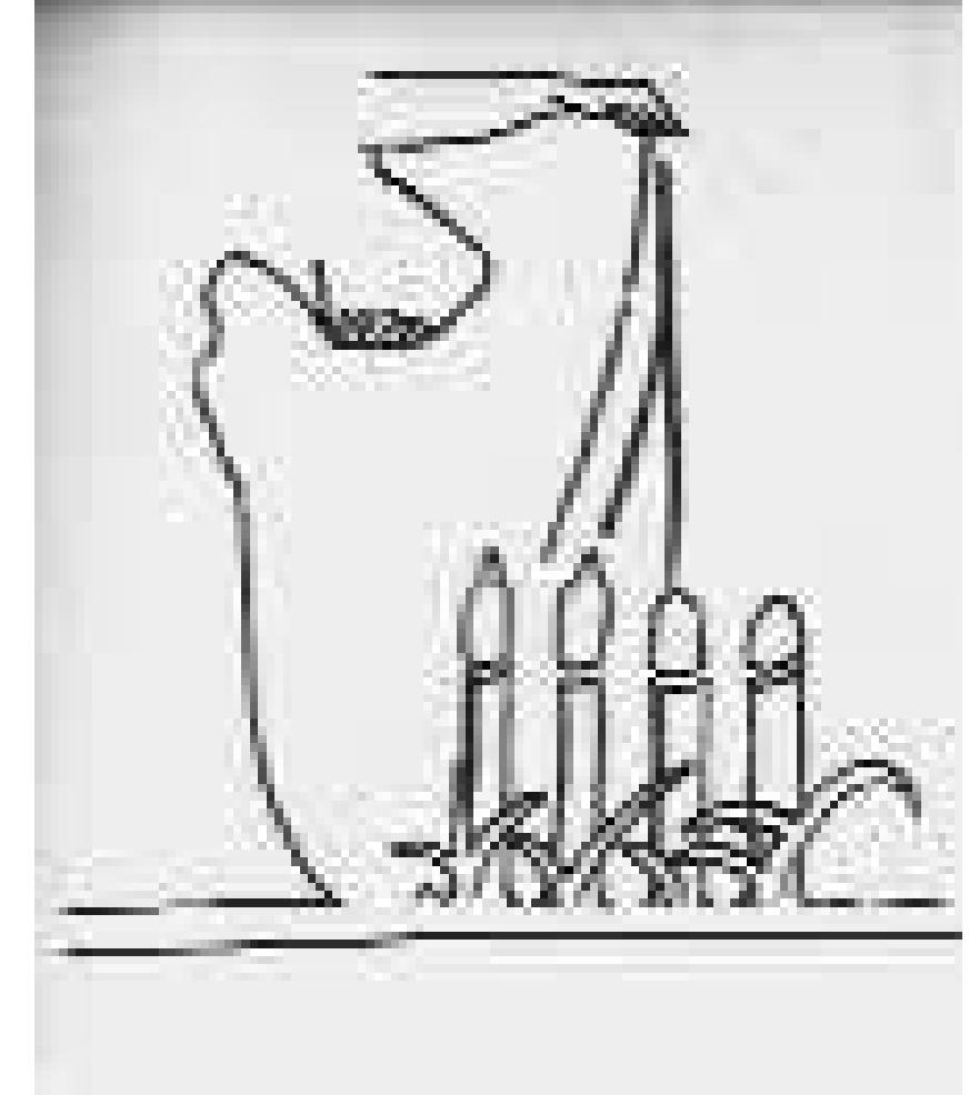 B. detail drawing of pelike by the hasselmann painter