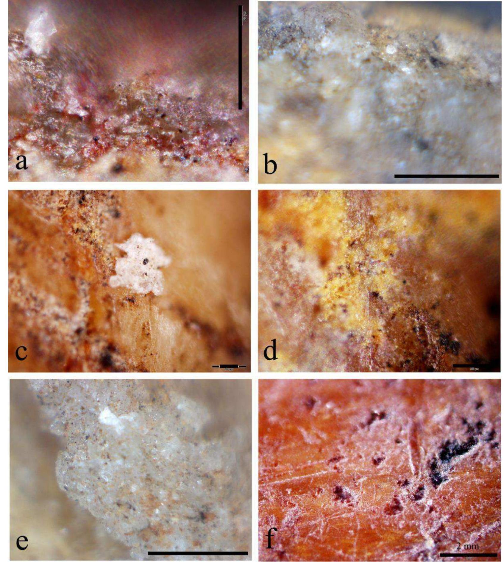 5.3. examples of micro-residues from kruger cave: a)