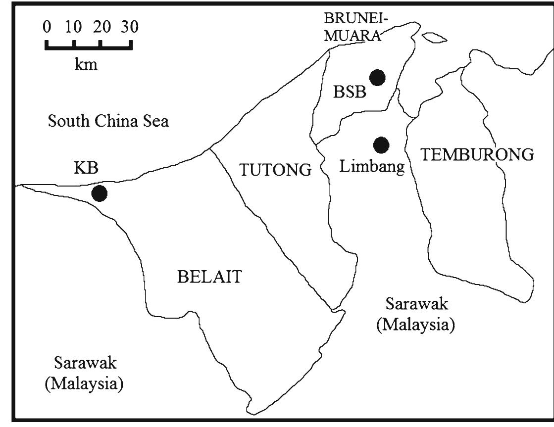 3 map showing how the area around the malaysian town of