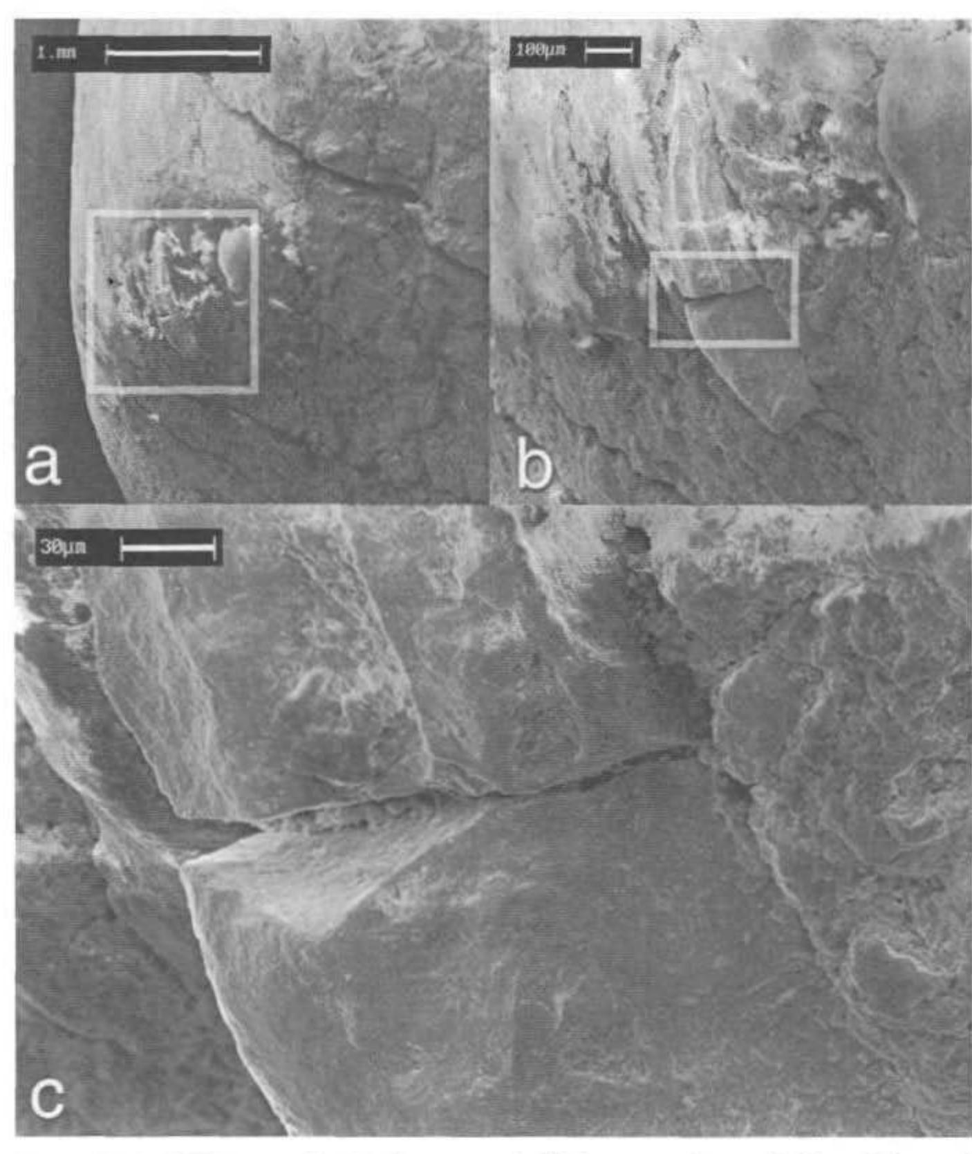 Basketmaker II Horn Flaking Tools and Dart Point Production ...