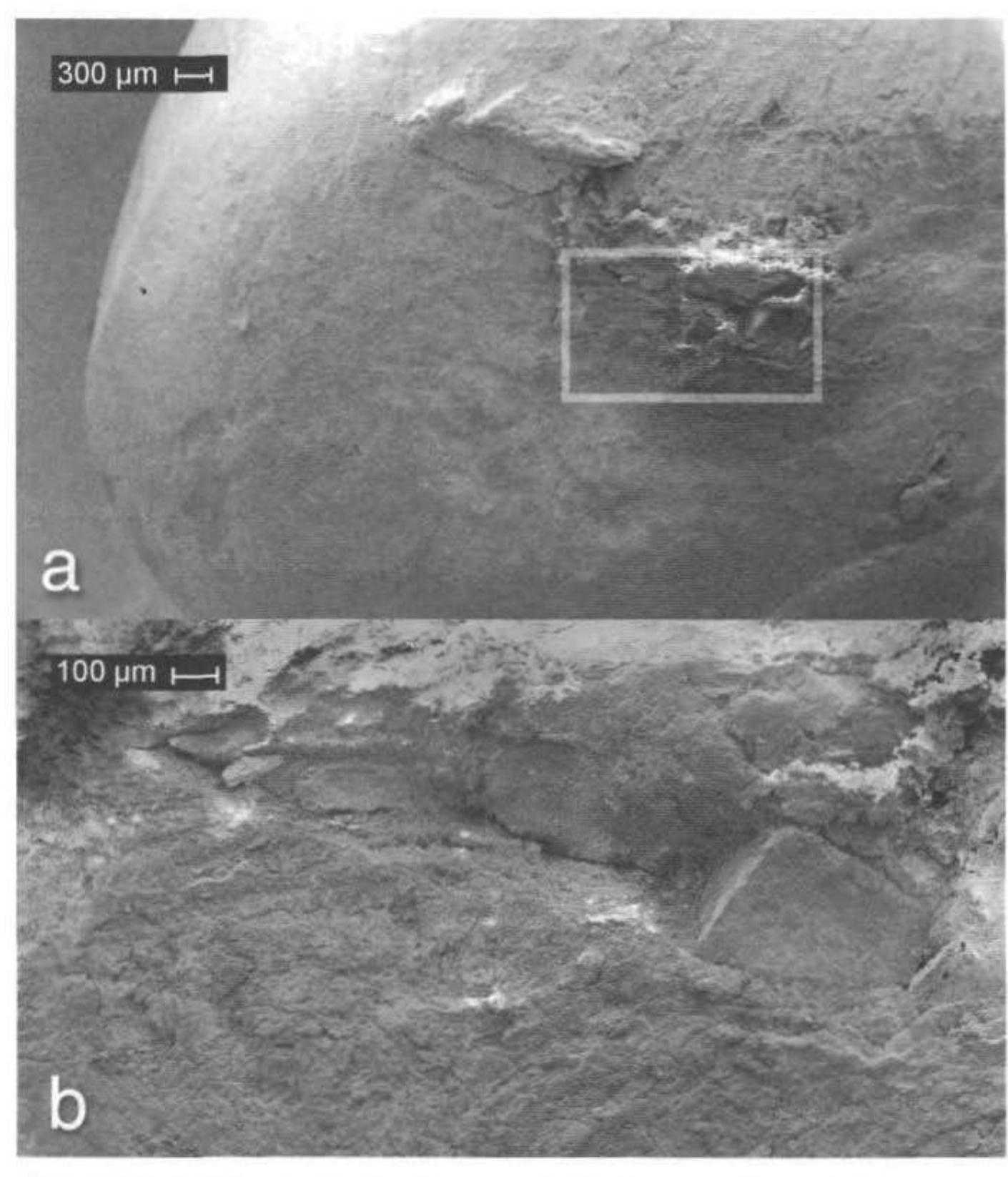Basketmaker II Horn Flaking Tools and Dart Point Production ...
