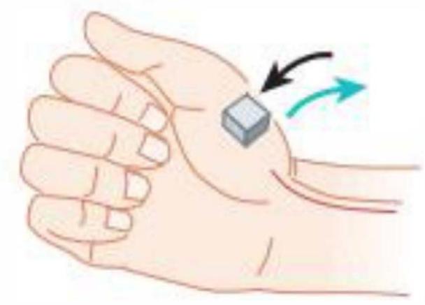 B-22 flexor carpi radialis (c6, 7; median nerve). the wrist