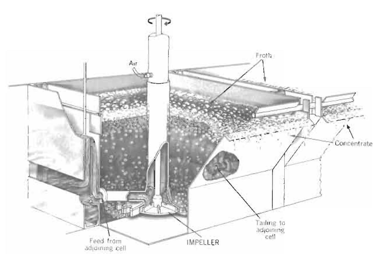 7. cutaway view of mechanical flotation cell. the method of