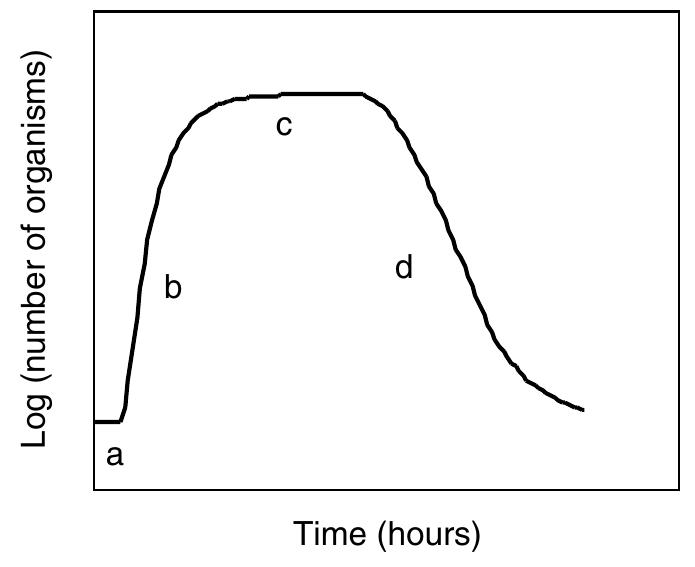 1 typical growth curve for a bacterium (phases: a — lag, b