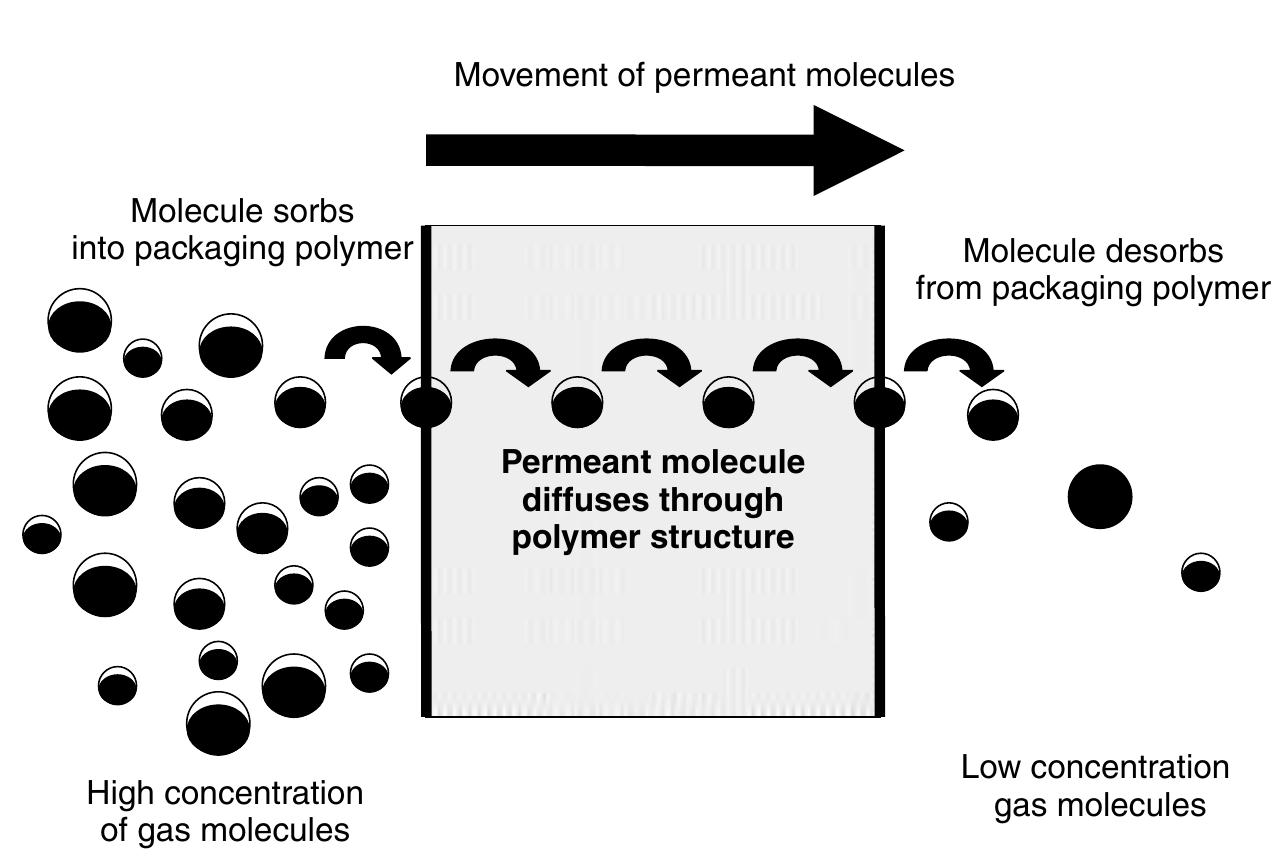 1 permeability model for gases and vapours permeating