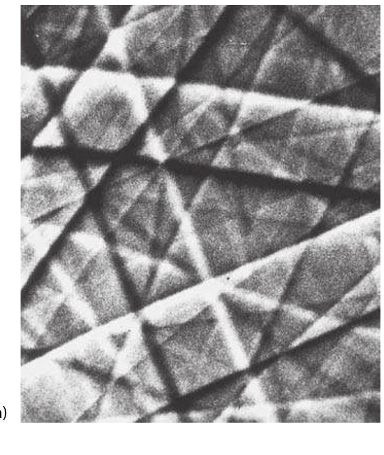 Figure 123 - Introduction to Texture Analysis. Macrotexture,