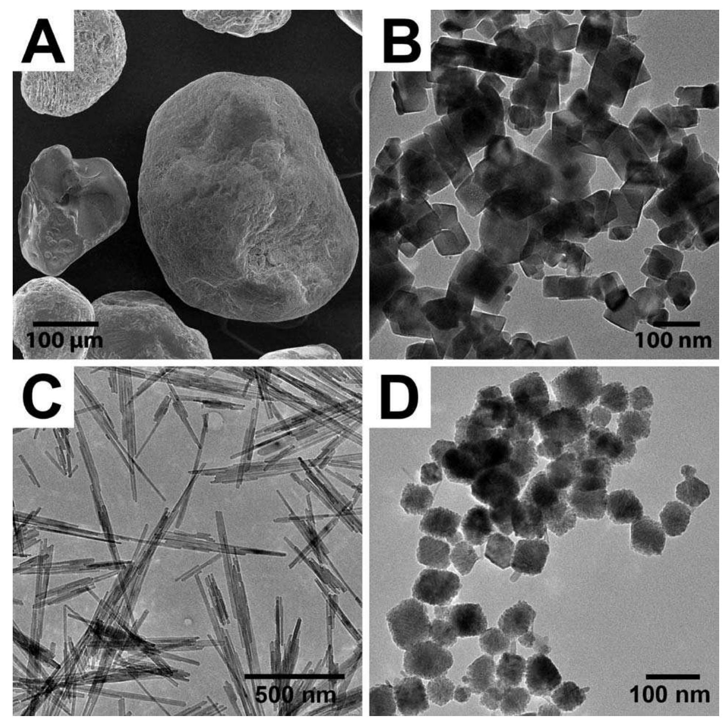 Fic. 2.—microscopy of magnetic standards. a) sem image of