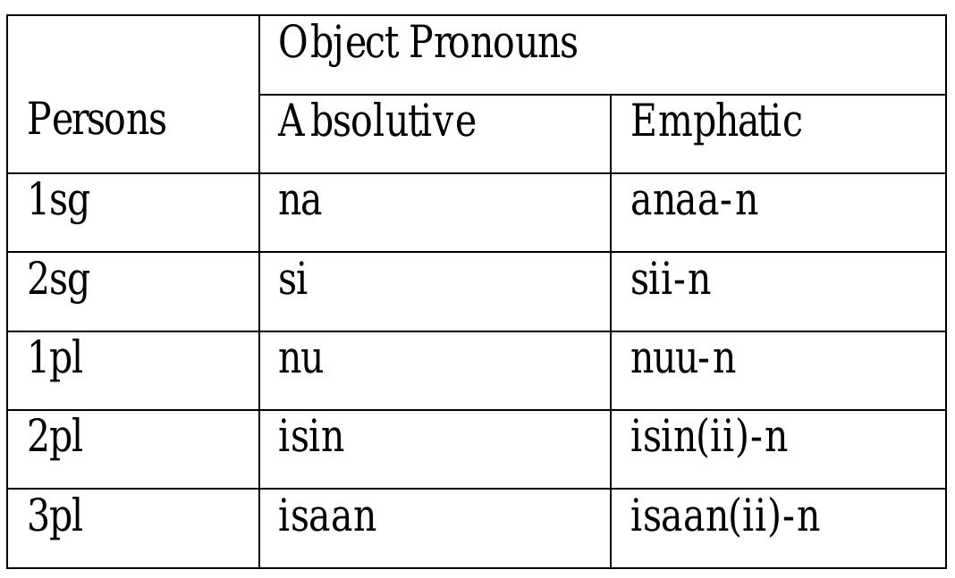 Pronouns in object forms are marked by the morpheme -n which