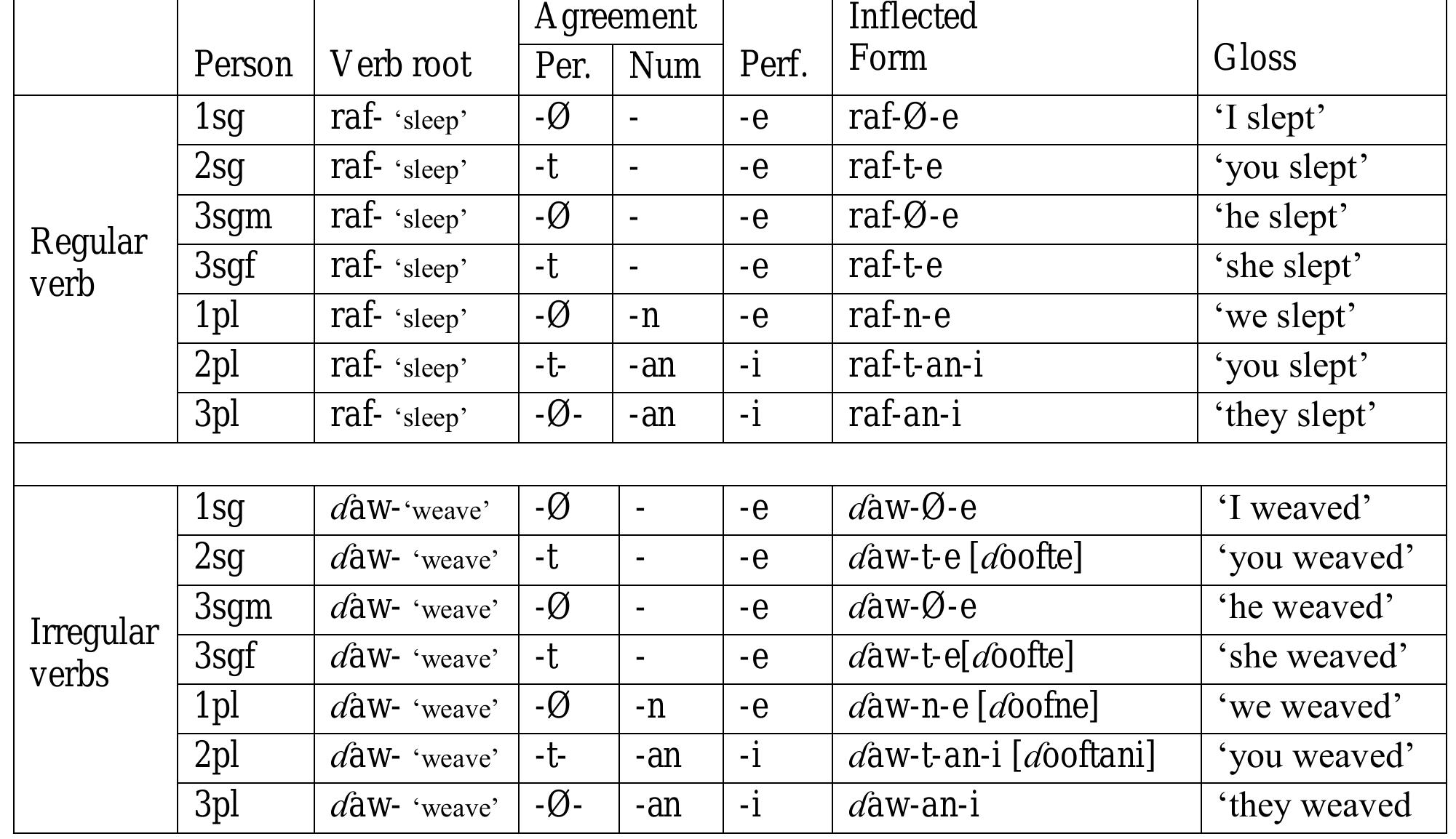 C onjugation of action verbs in positive form gender on