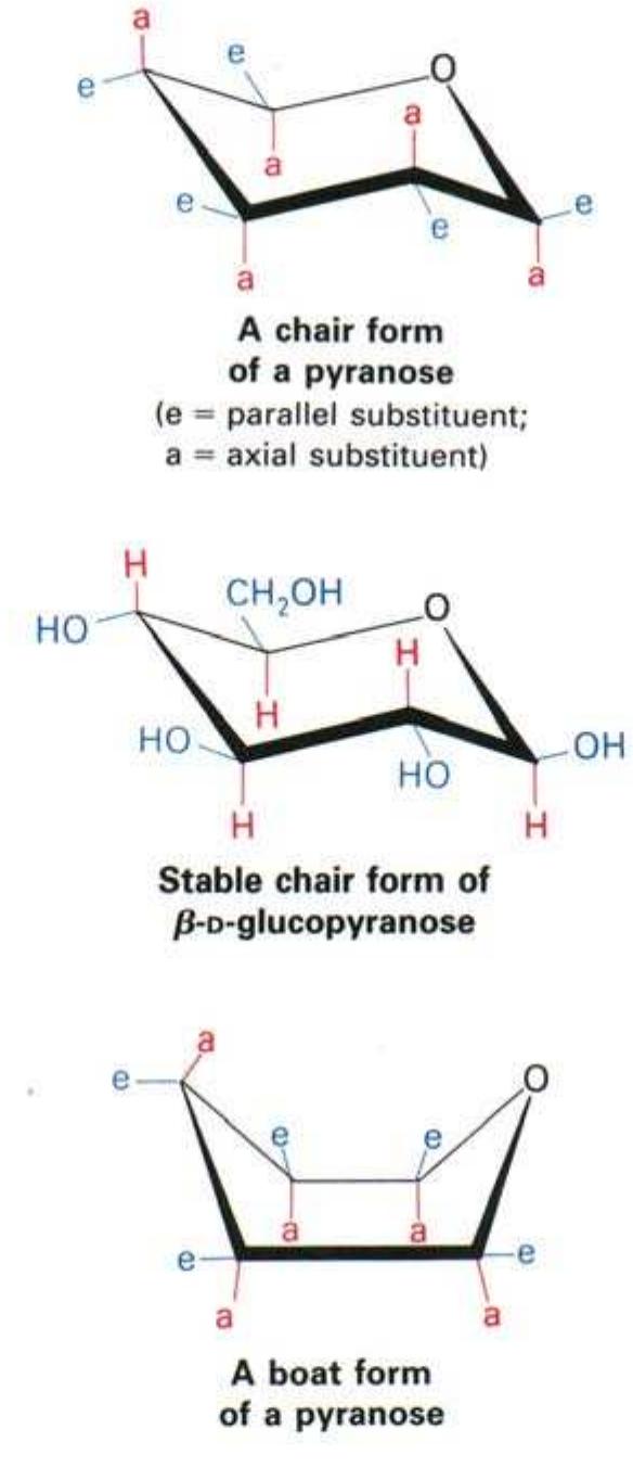 Figure 27 - Structure and function of Biomolecules -8