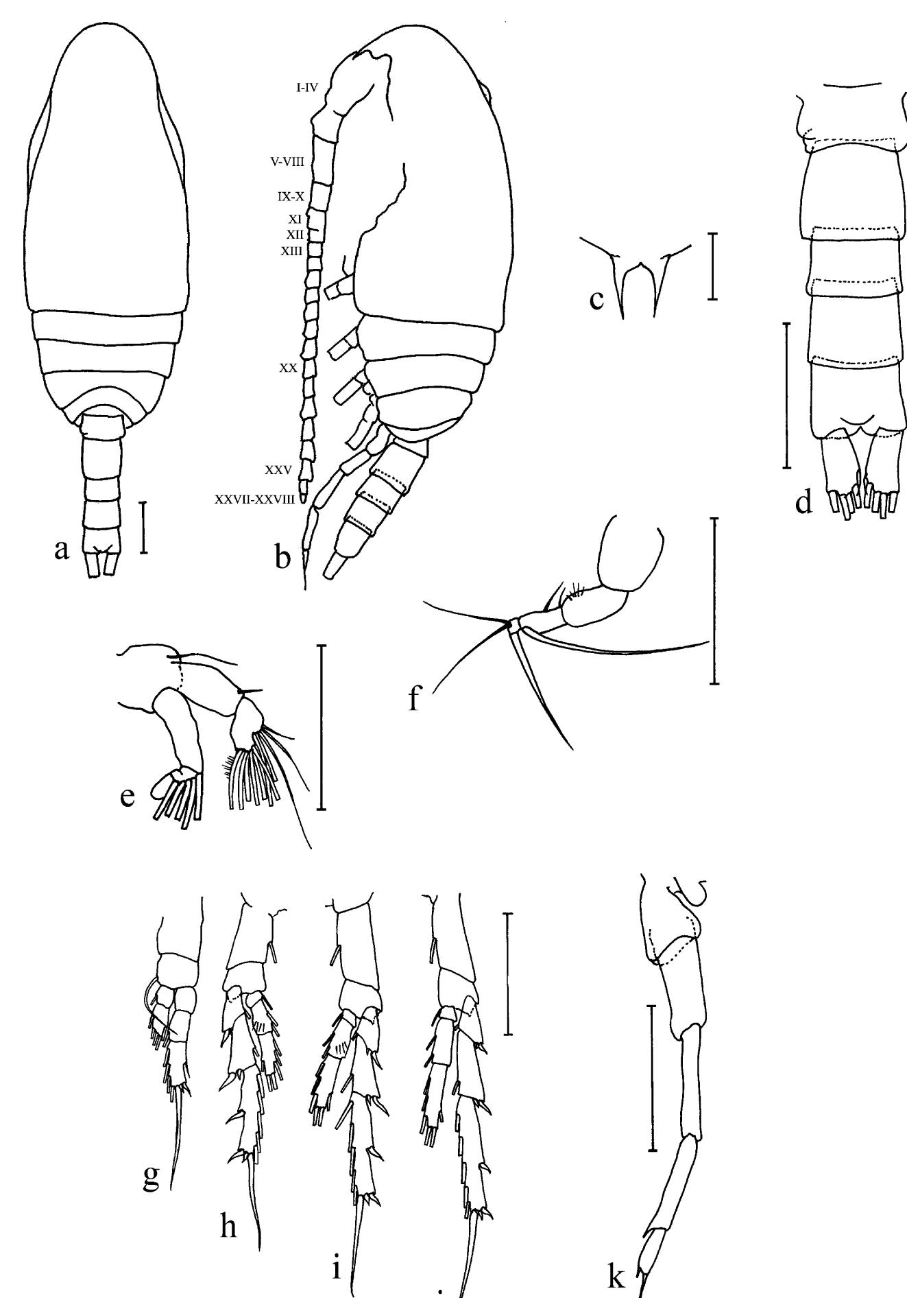 Figure 4 - from Ali et al., 2007