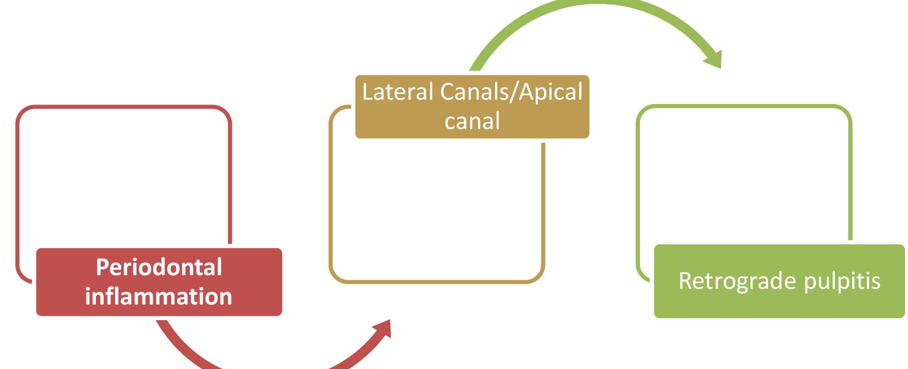 Chart showing the flow of infection from periodontal pocket
