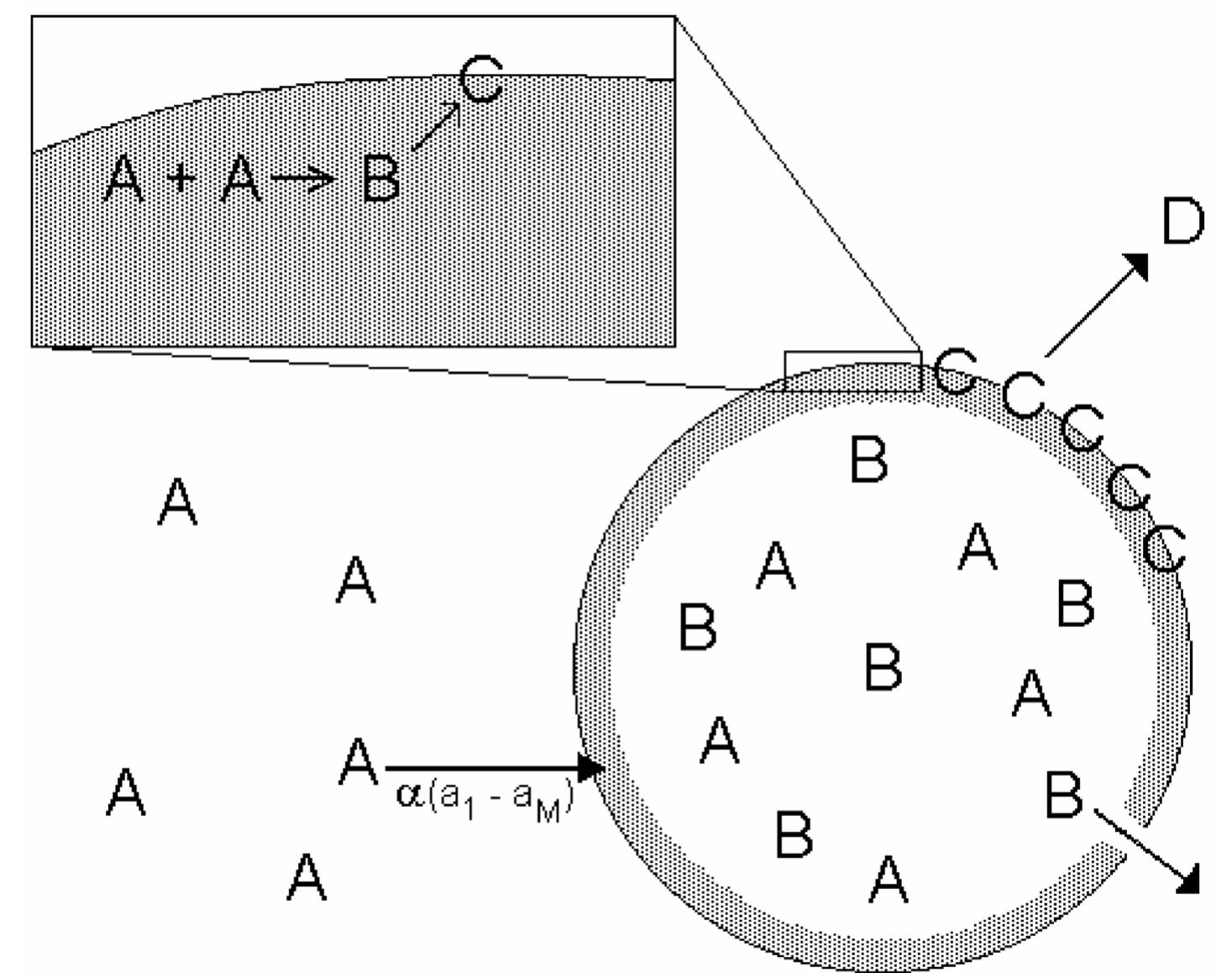 |. a schematic illustration of the tesselation automaton