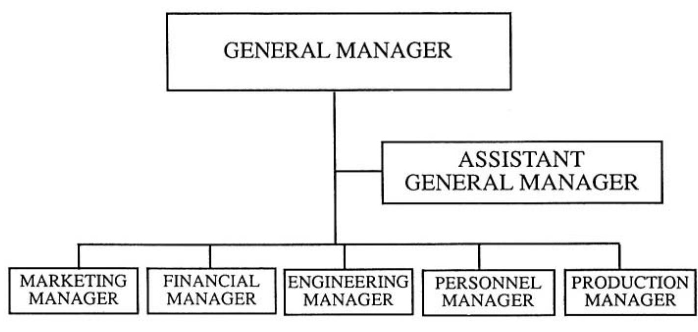 The organizational structure of a typical functional