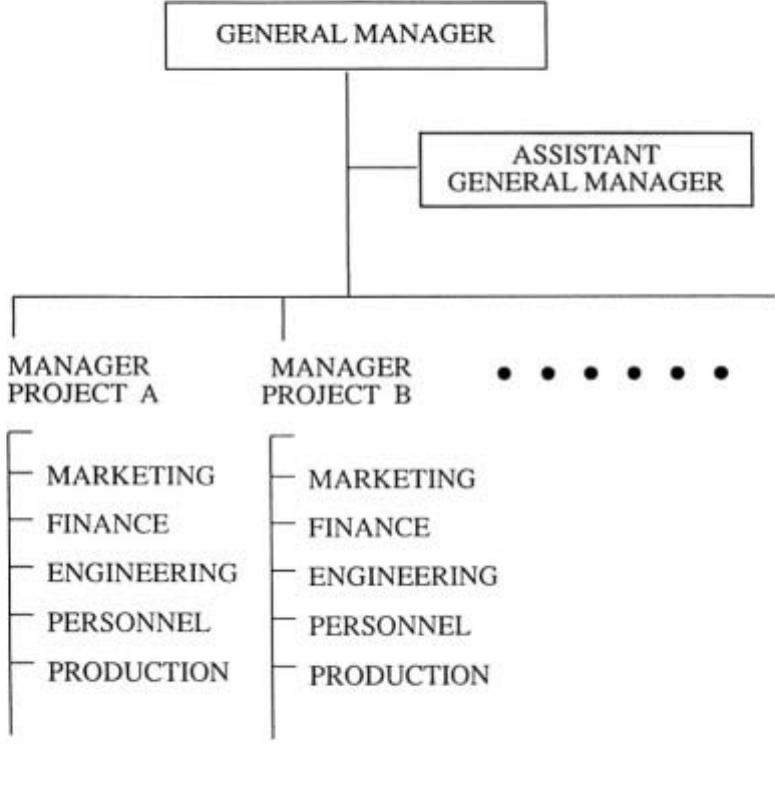 The organizational structure of a typical project