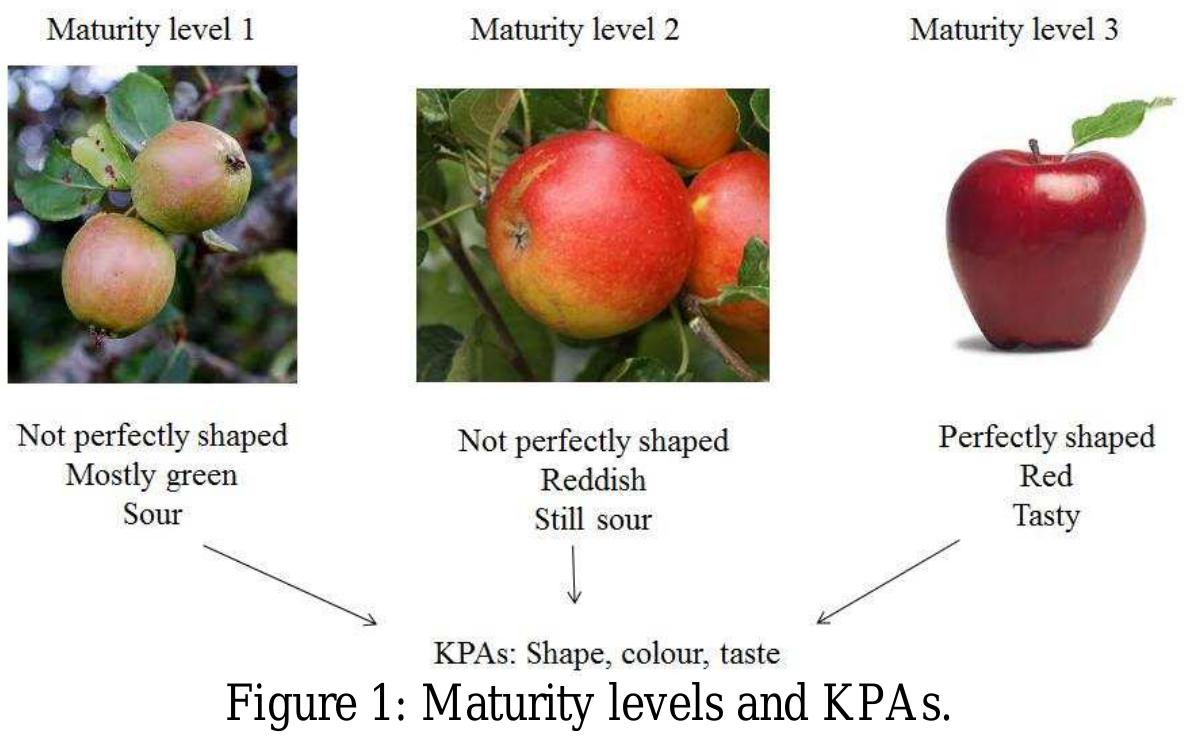 In this case the maturation object is the apple (the object