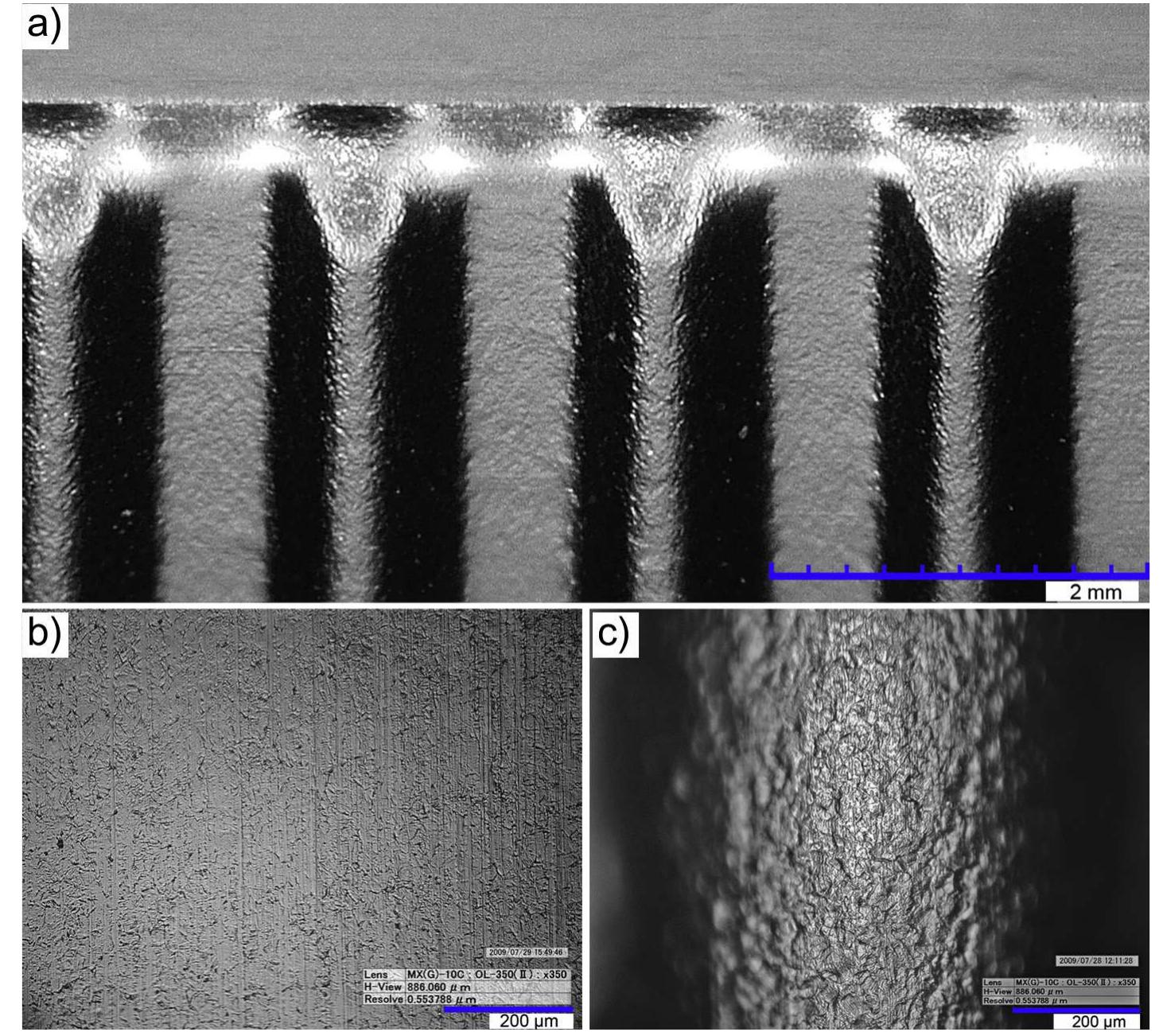Digital microscope images for blank and bipolar plate