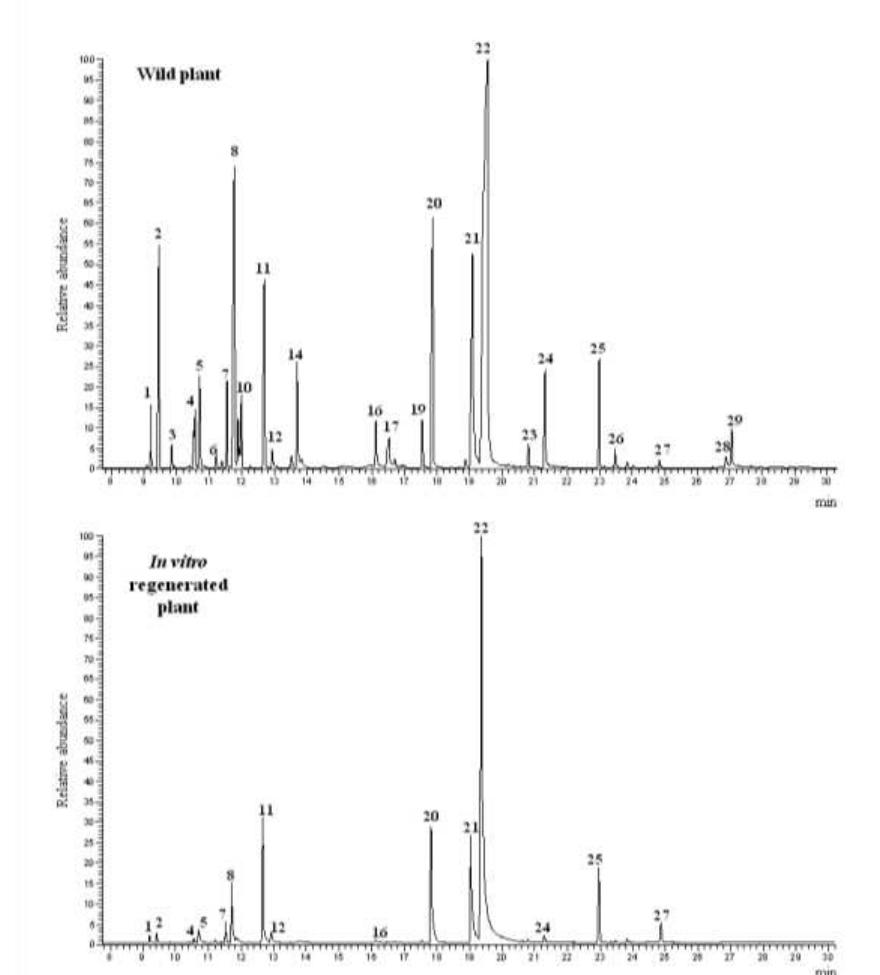 Gas Chromatography—flame Ionization Detector Gc Fid