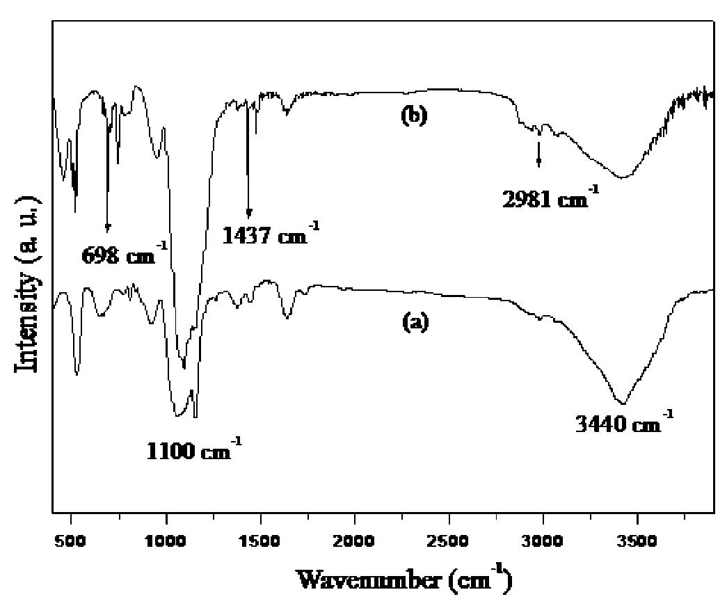 Ir spectra of (a) the pmo-ph and (b) the pph2-pmo-ph