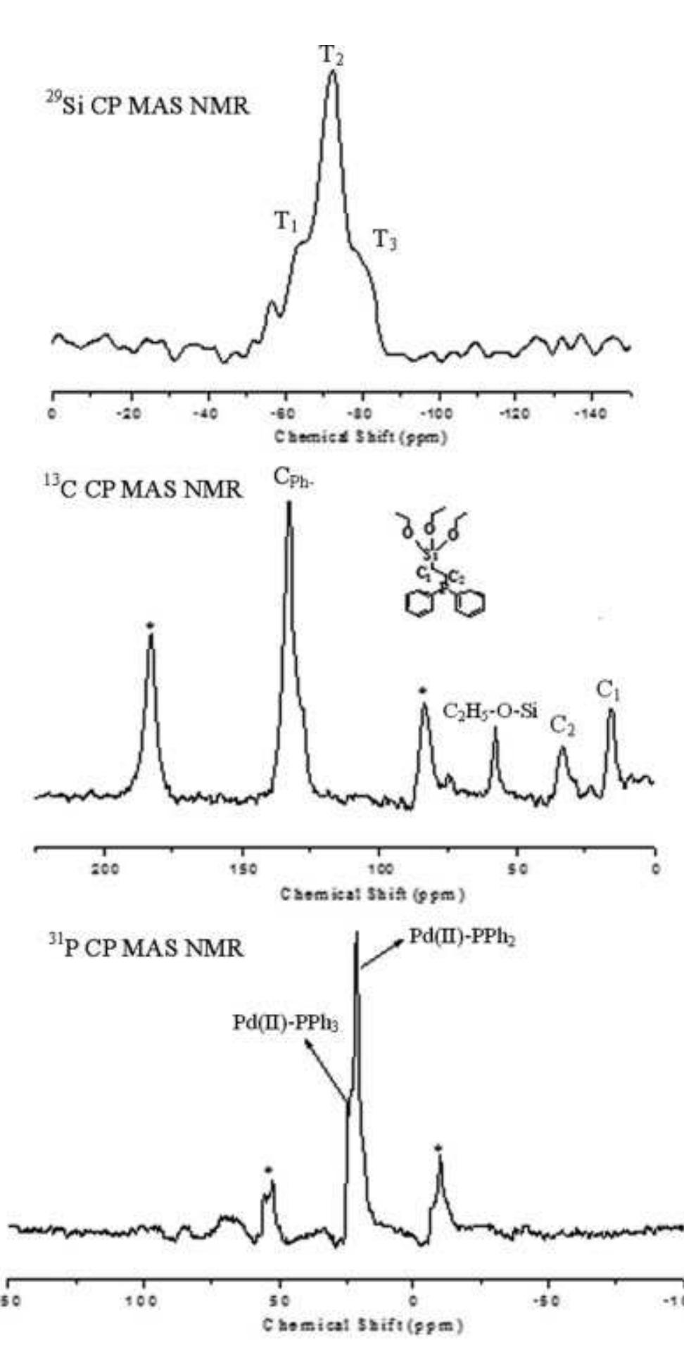 Solid state nmr spectra of the pd-pph2-pmo-ph sample.
