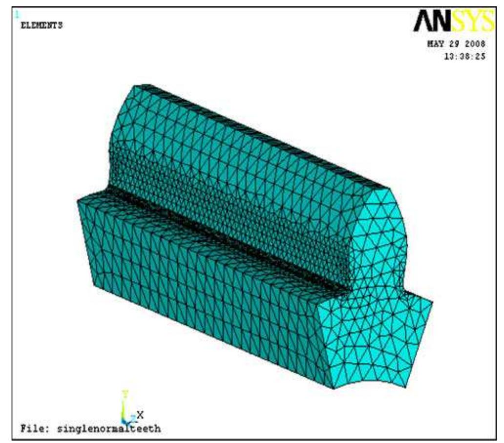 Fea meshed model of tooth with trochoidal root filet when