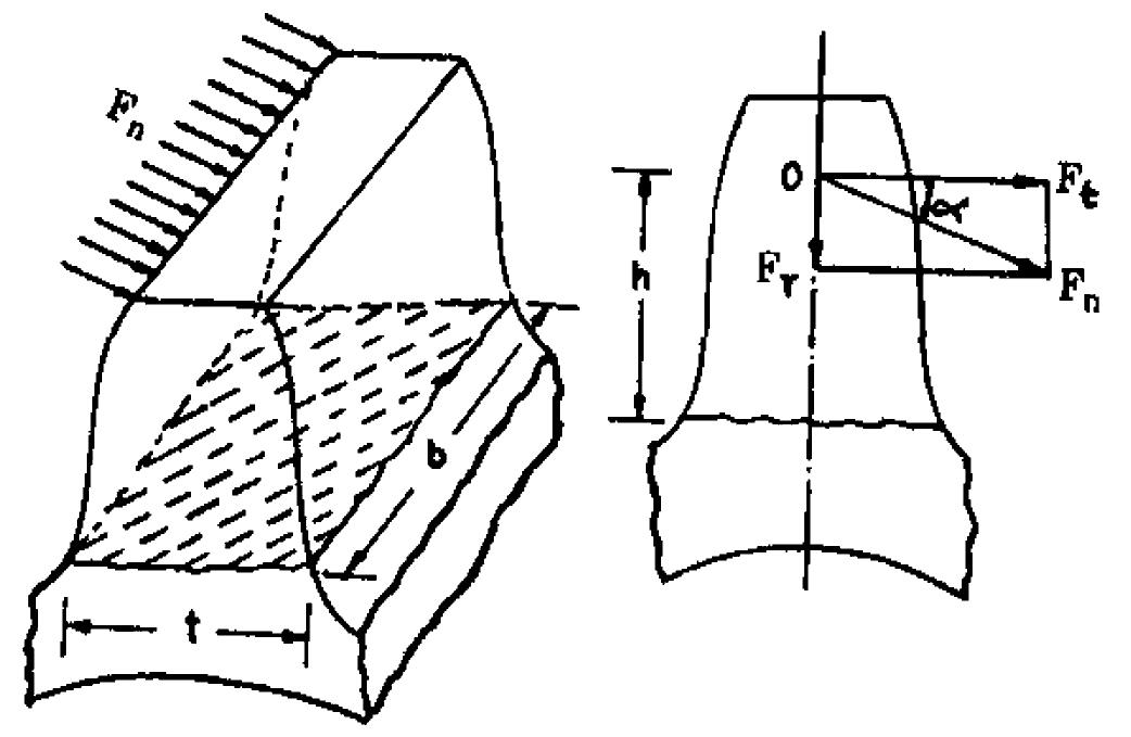 Force diagram of spur gear 3 force analyses according to