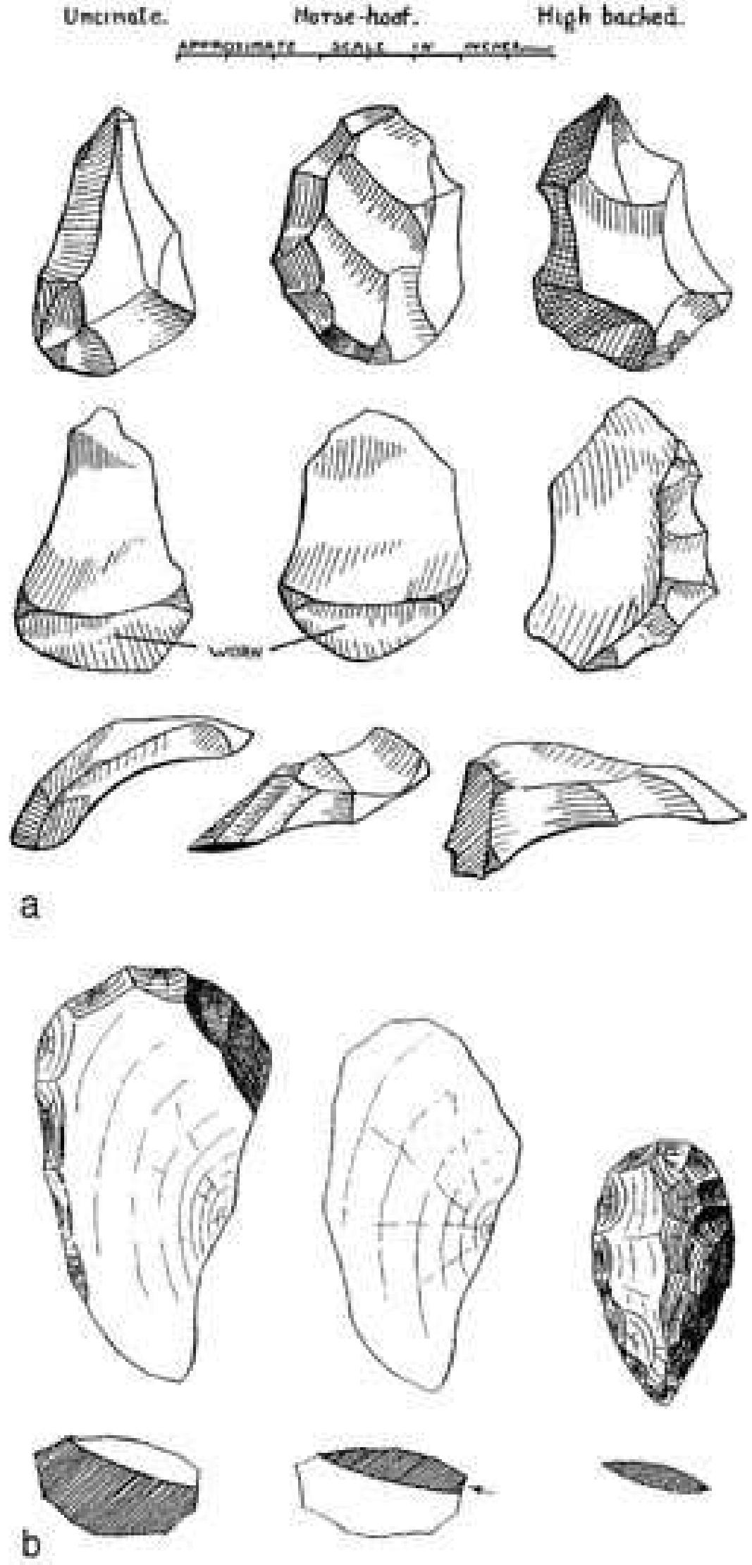 (a) victoria west core types after goodwin (1929b); (b)