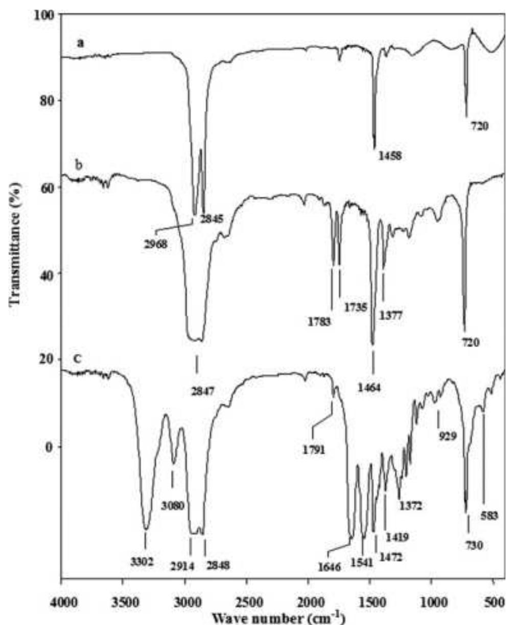 Figure 1 - from Modification of low-density polyethylene by