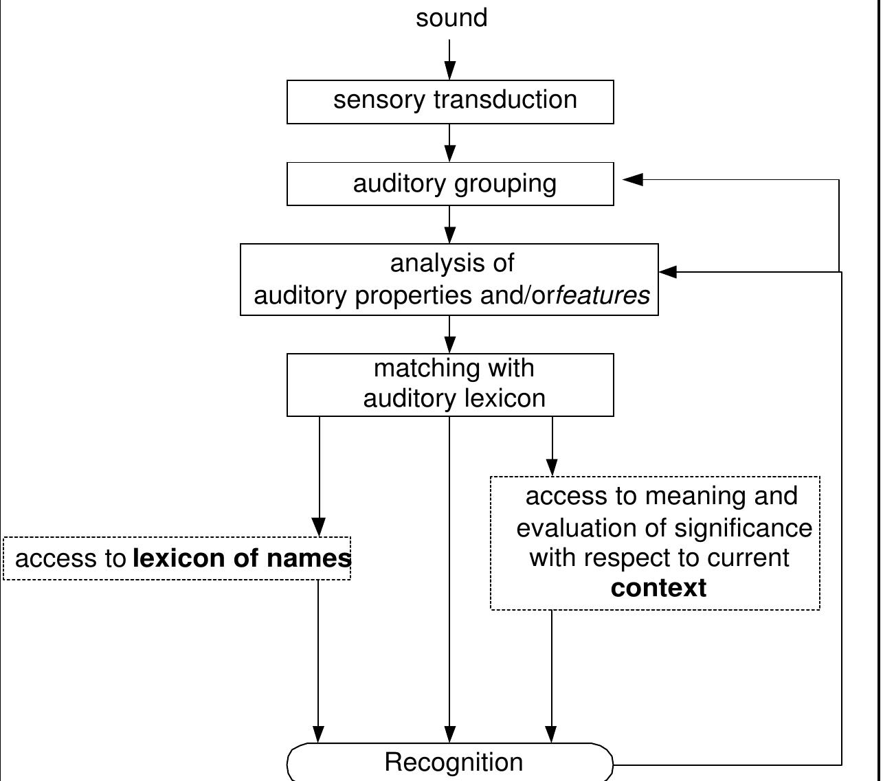 Schematic diagram of auditory perception modeled by a