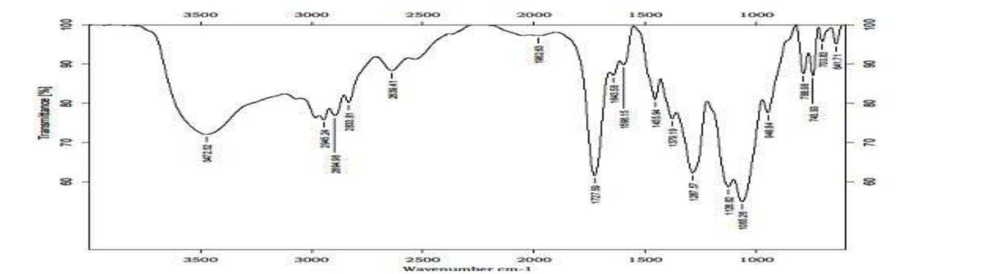 Ft-ir spectra of celecoxib +sodium alginate