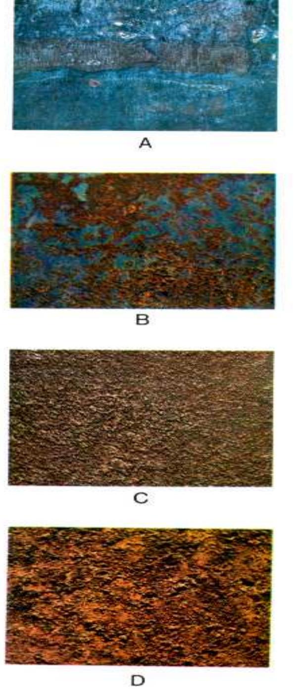 (PDF) STANDARD ISO 8501 Corrosion Protection of Steel Structures by ...