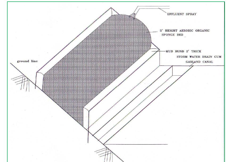 Nae s| 7 detailed section of aerobic organic sponge