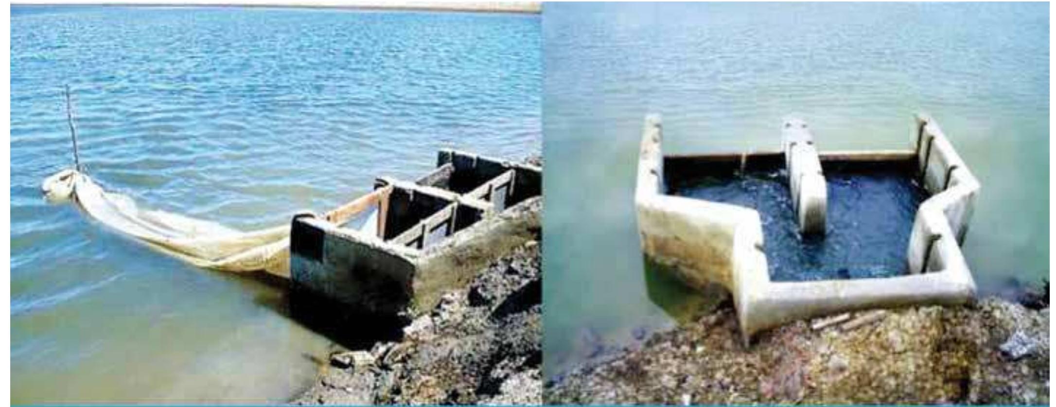 A. water input gate (left) and water output gate (right) in