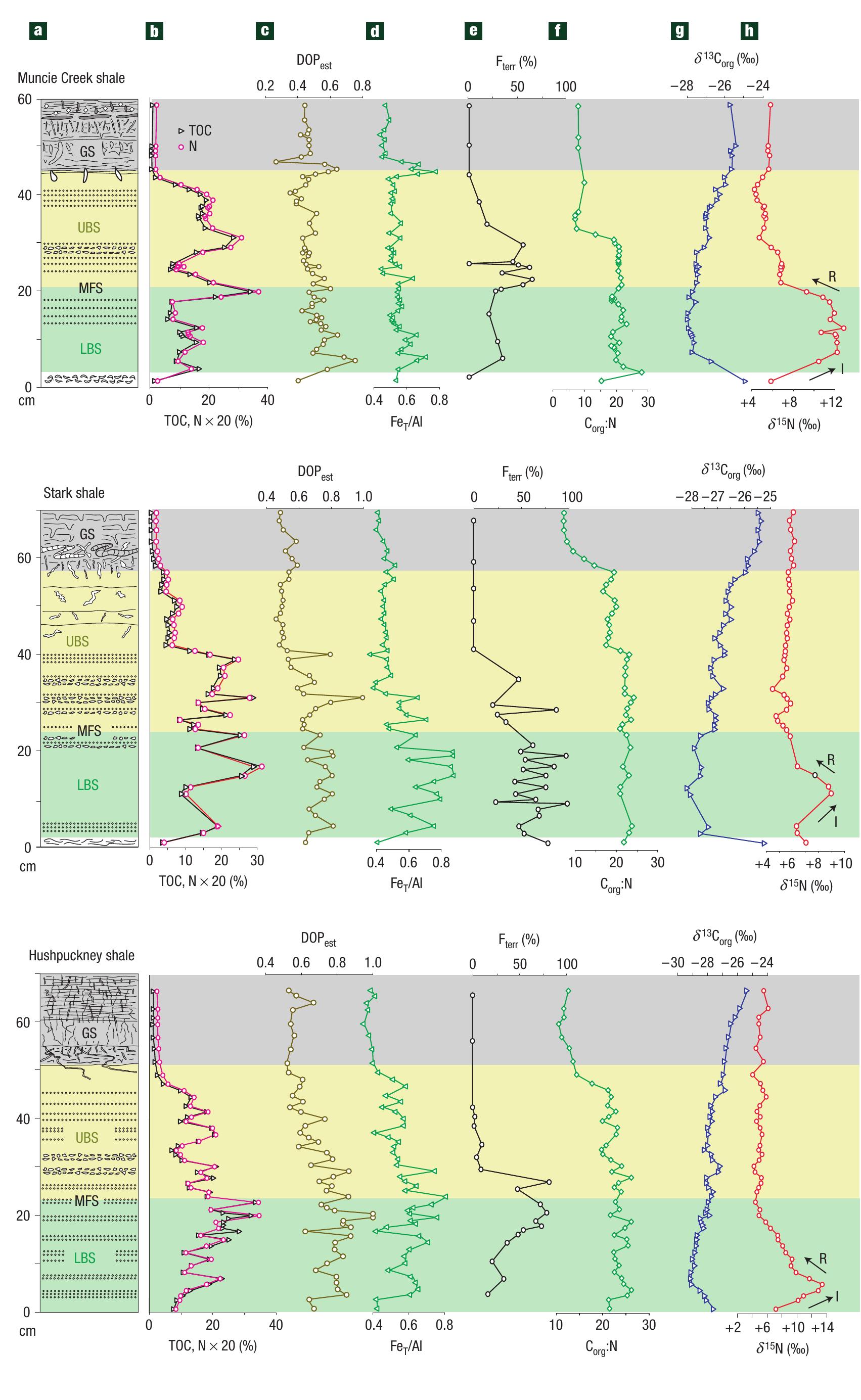Study sections. a, sedimentary features. b, toc and n.